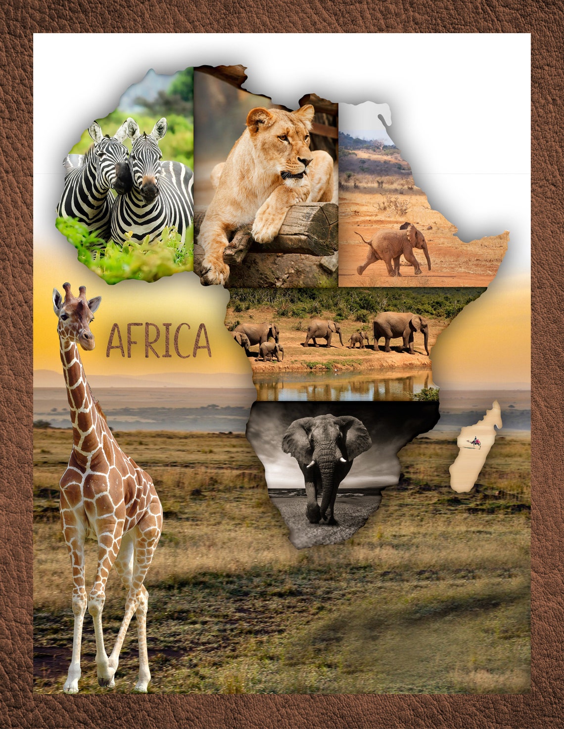 Africa Scrapbook Templates Digital Scrapbook Template Africa - Etsy