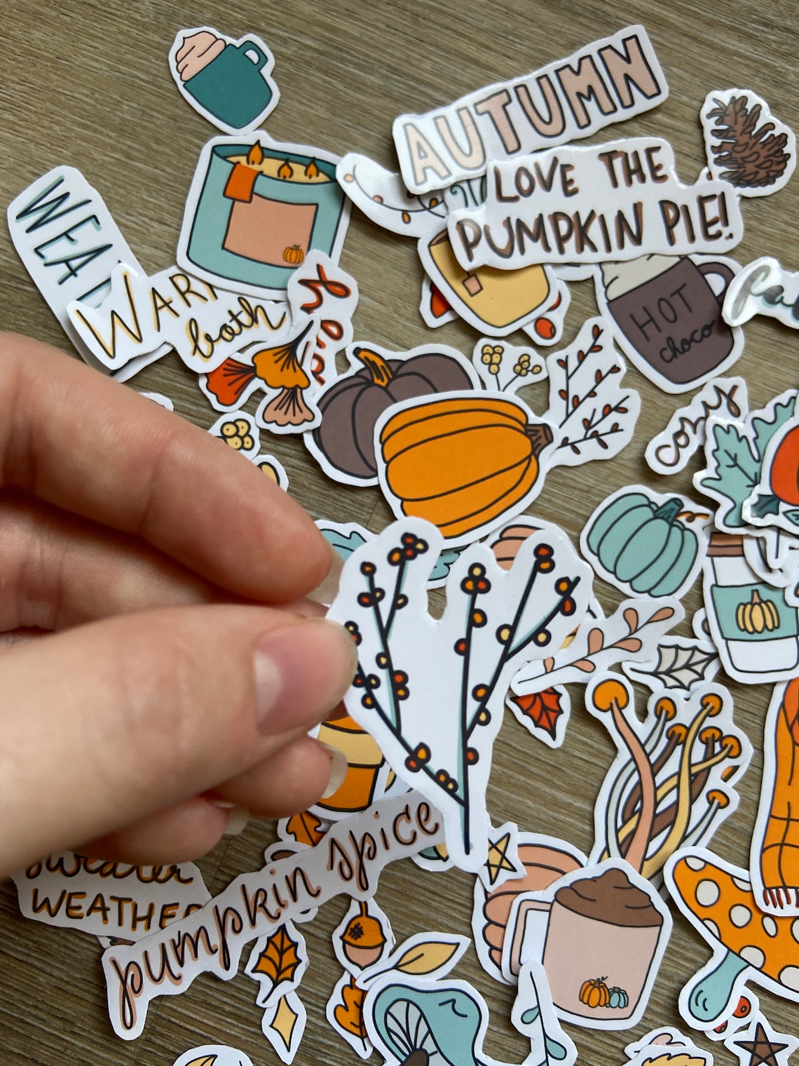 Fall theme sticker pack autumn vibe stickers pumkin vibe - Etsy Nederland