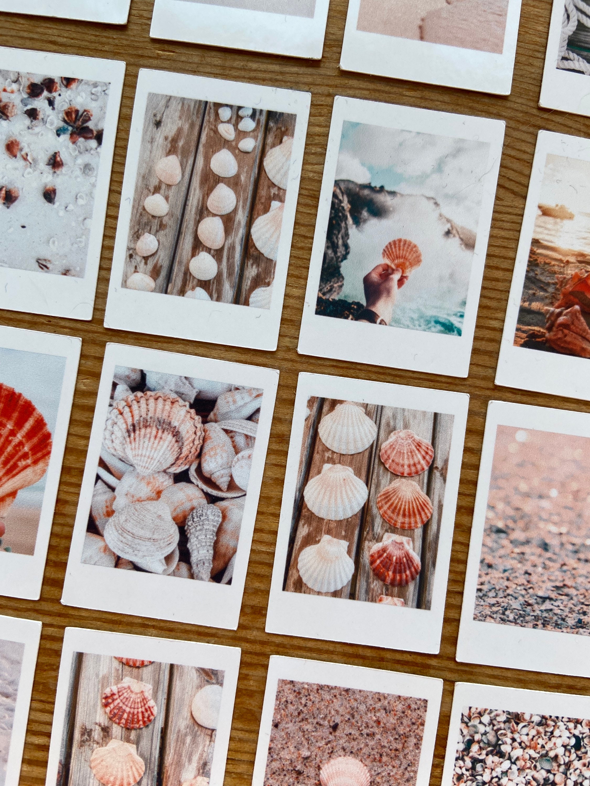 Shell Stickers | White Border Sticker | Dreamy Stickers | 16 Pieces ...