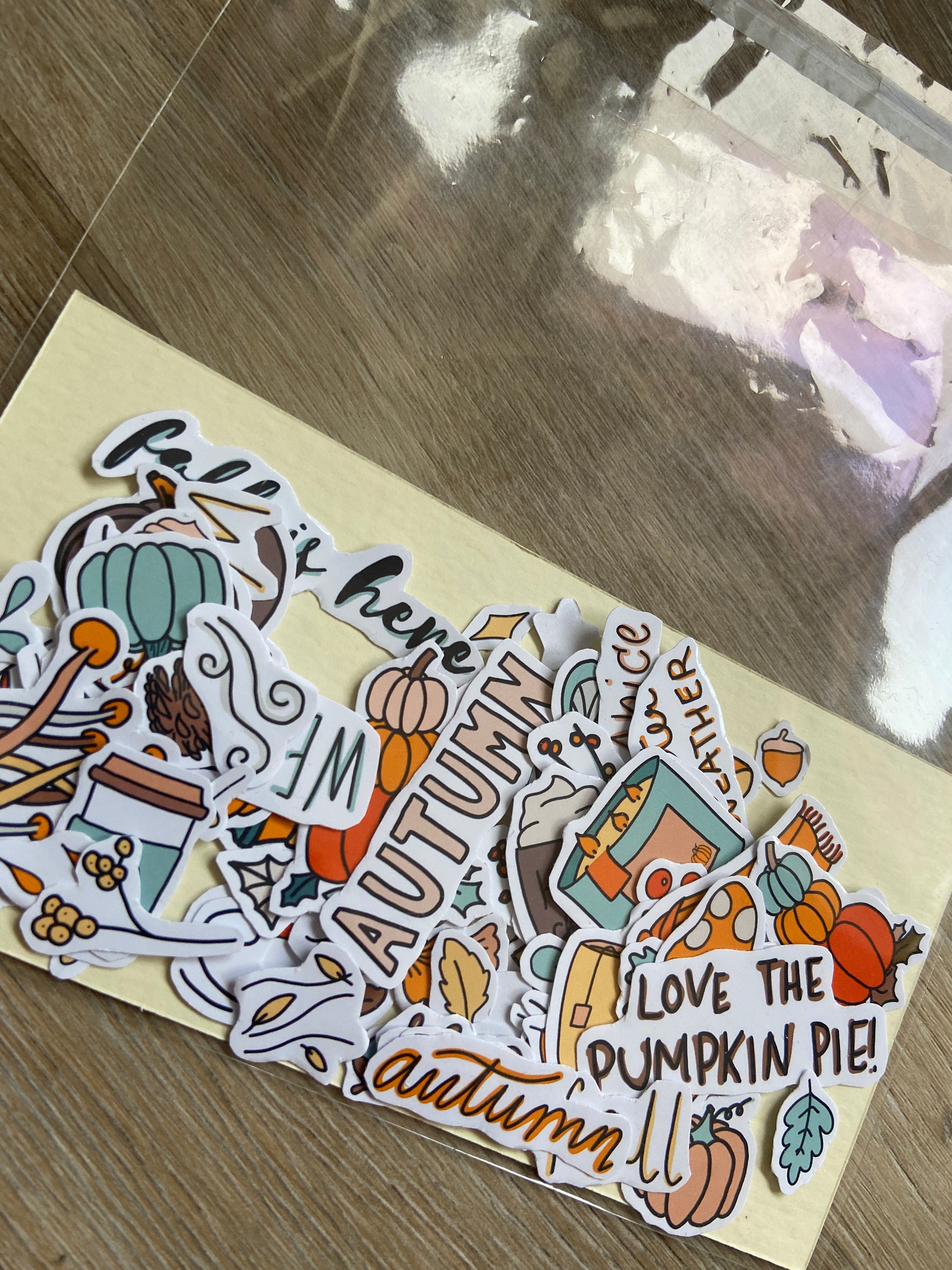 Fall Theme Sticker Pack Autumn Vibe Stickers Pumkin Vibe - Etsy