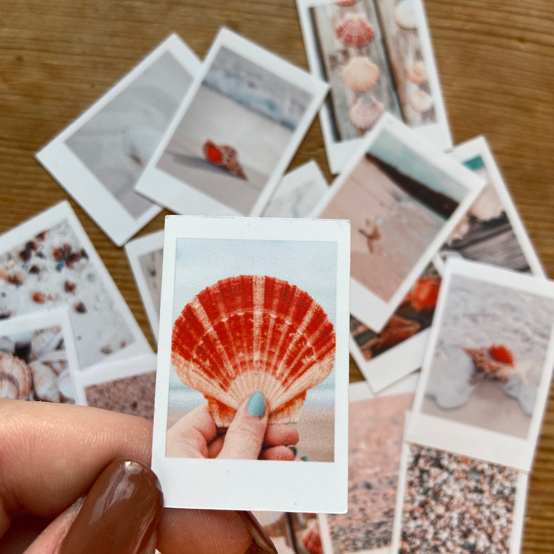 Shell Stickers | White Border Sticker | Dreamy Stickers | 16 Pieces ...