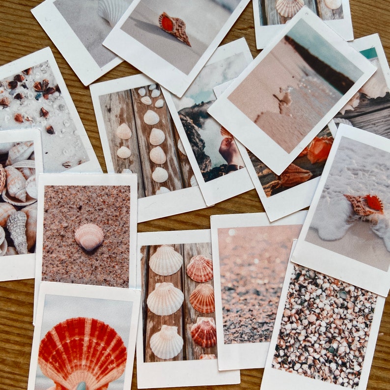 Shell Stickers White Border Sticker Dreamy Stickers 16 Pieces Vacation ...