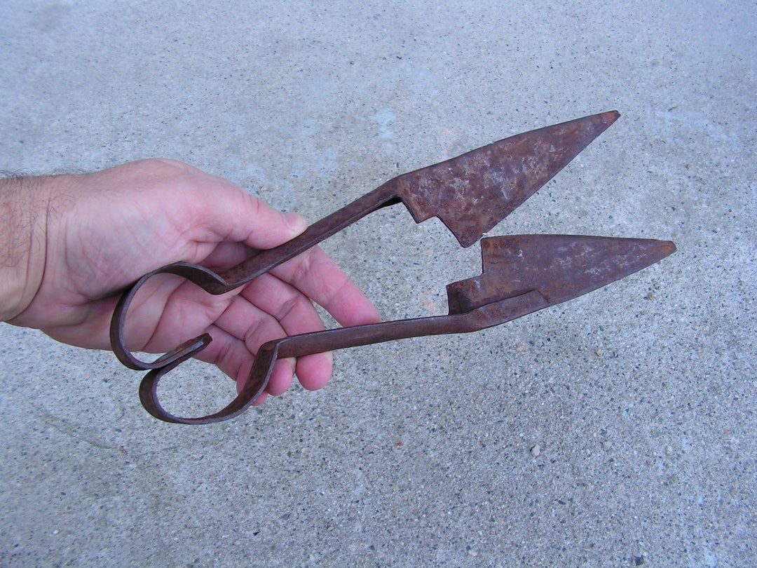 Antique Sheep Shear Primitive Sheep Shear Large Rust Scissors Hand ...