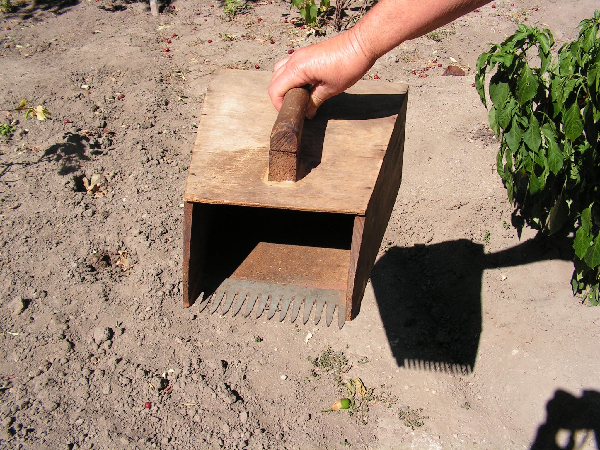 Primitive Picker Big Picker of Herbs Large Berry Picker | Etsy