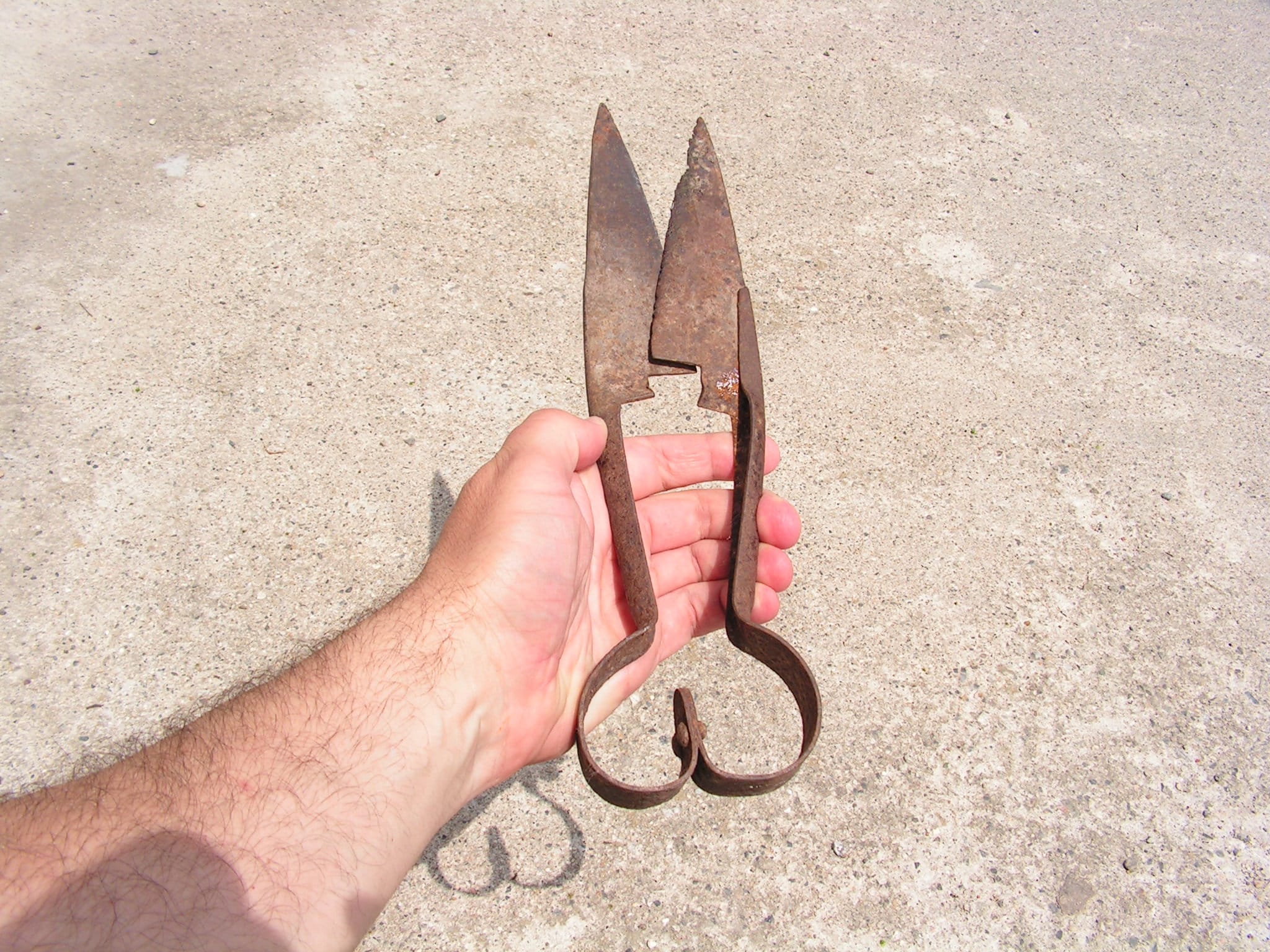 Antique Sheep Shear Primitive Sheep Shear Hand-forged Iron - Etsy