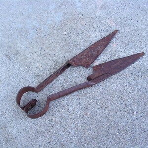 Antique Sheep Shear Primitive Sheep Shear Large Rust Scissors Hand ...