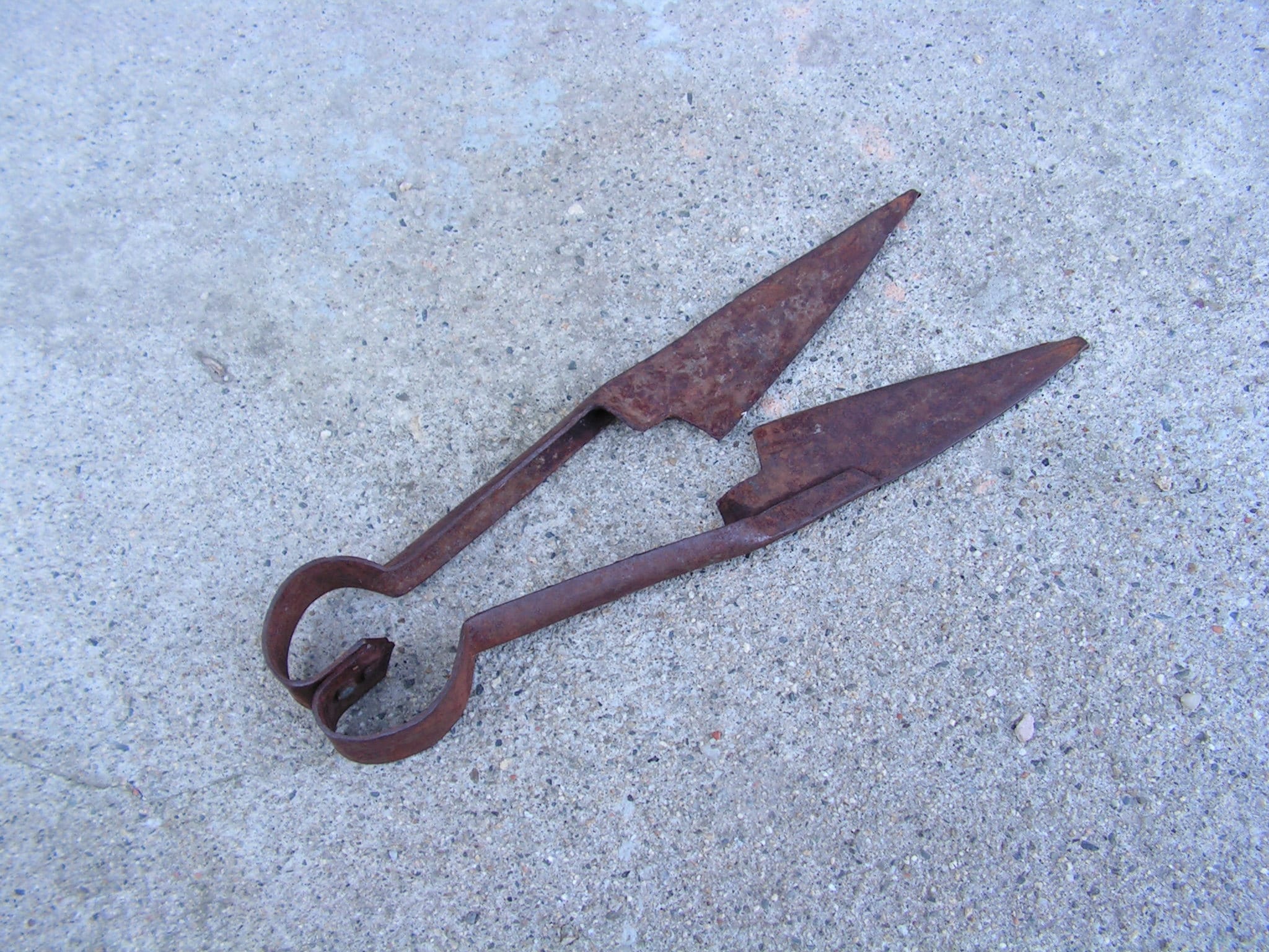 Antique Sheep Shear Primitive Sheep Shear Large Rust Scissors | Etsy