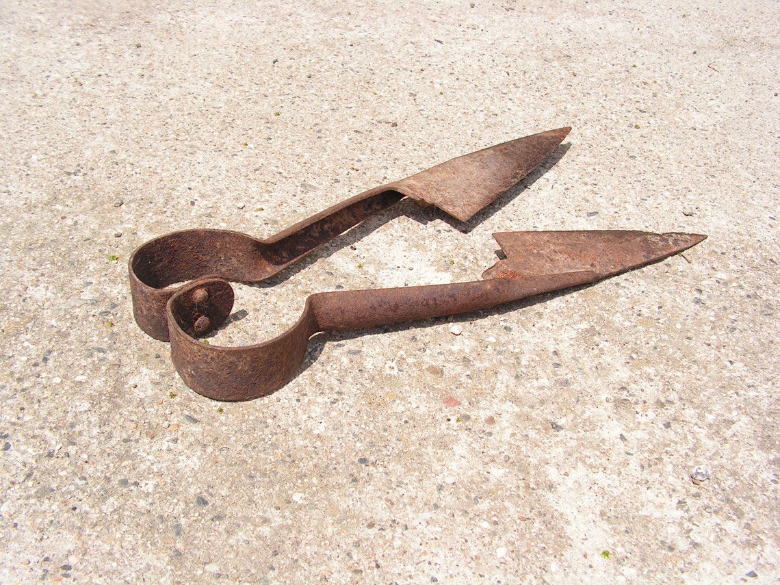 Antique Sheep Shear Primitive Sheep Shear Hand-forged Iron | Etsy