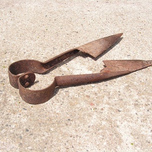 Antique Sheep Shear Primitive Sheep Shear Hand-forged Iron Scissors Old ...