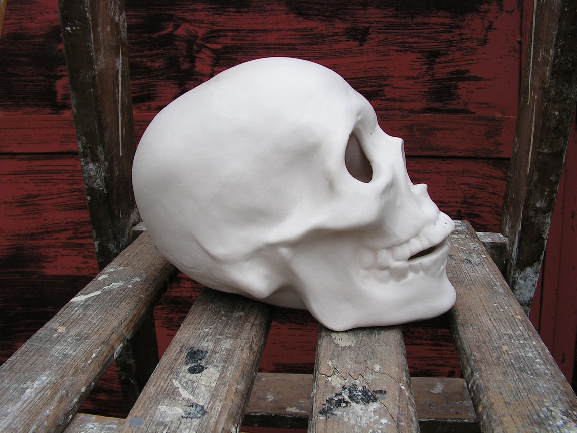 Human Gypsum Skull Ceramics Skull Head Man Plaster Skull - Etsy