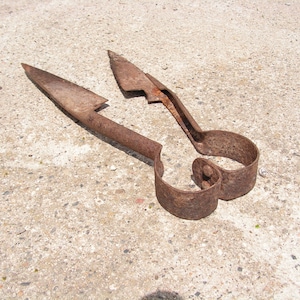 Antique Sheep Shear Primitive Sheep Shear Hand-forged Iron Scissors Old ...