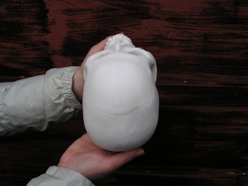 Human Gypsum Skull, Ceramics Skull, Head Man, Plaster Skull, Bone Skull ...