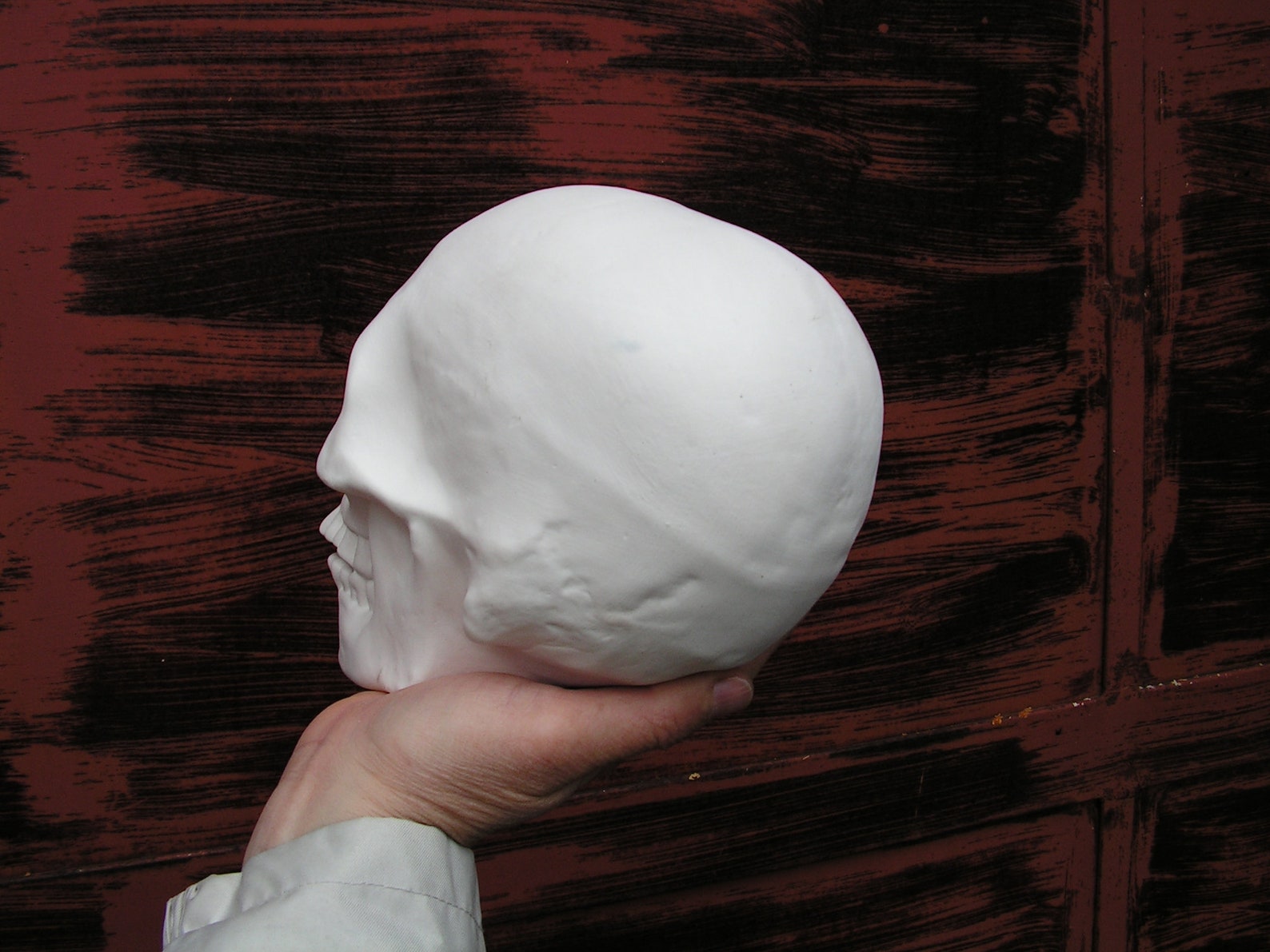 Human Gypsum Skull Ceramics Skull Head Man Plaster Skull - Etsy