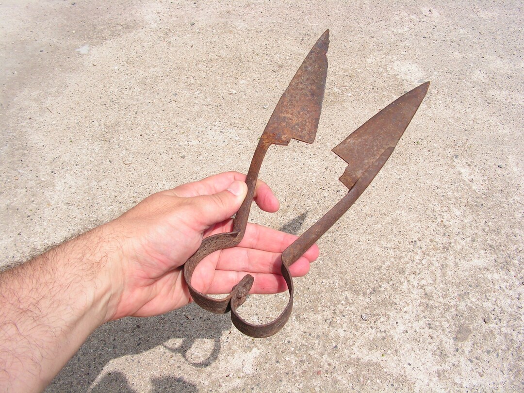Antique Sheep Shear Primitive Sheep Shear Hand-forged Iron Scissors Old ...