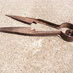Antique Sheep Shear Primitive Sheep Shear Hand-forged Iron Scissors Old ...