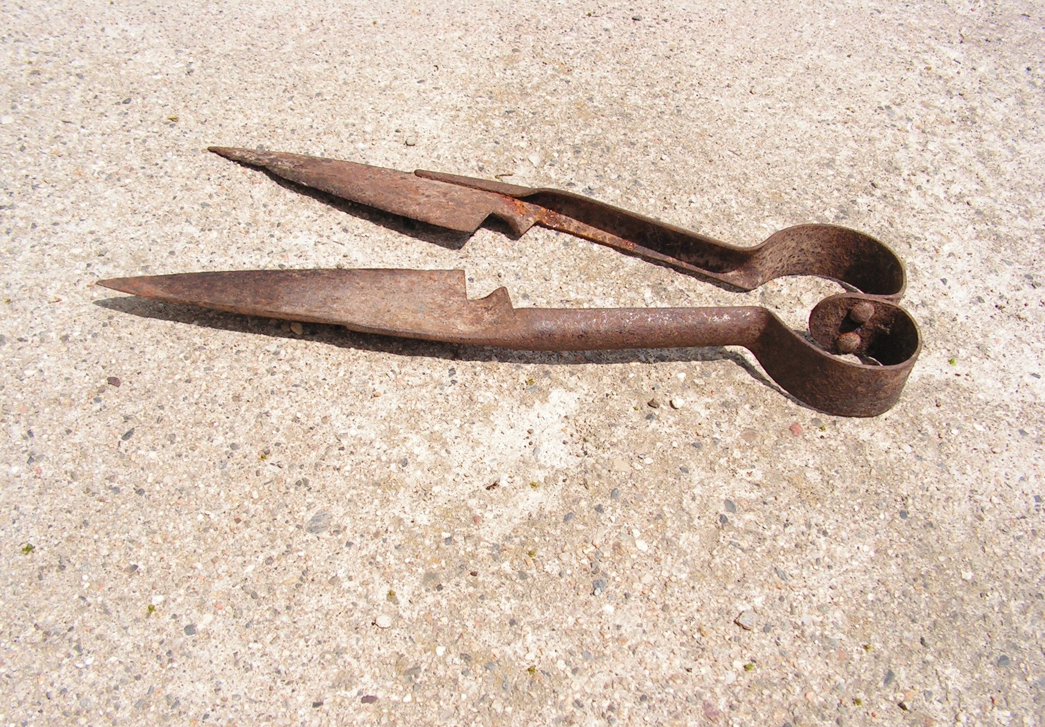 Antique Sheep Shear Primitive Sheep Shear Hand-forged Iron - Etsy