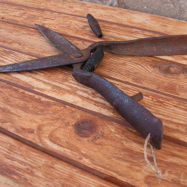 Antique Scissors - Etsy