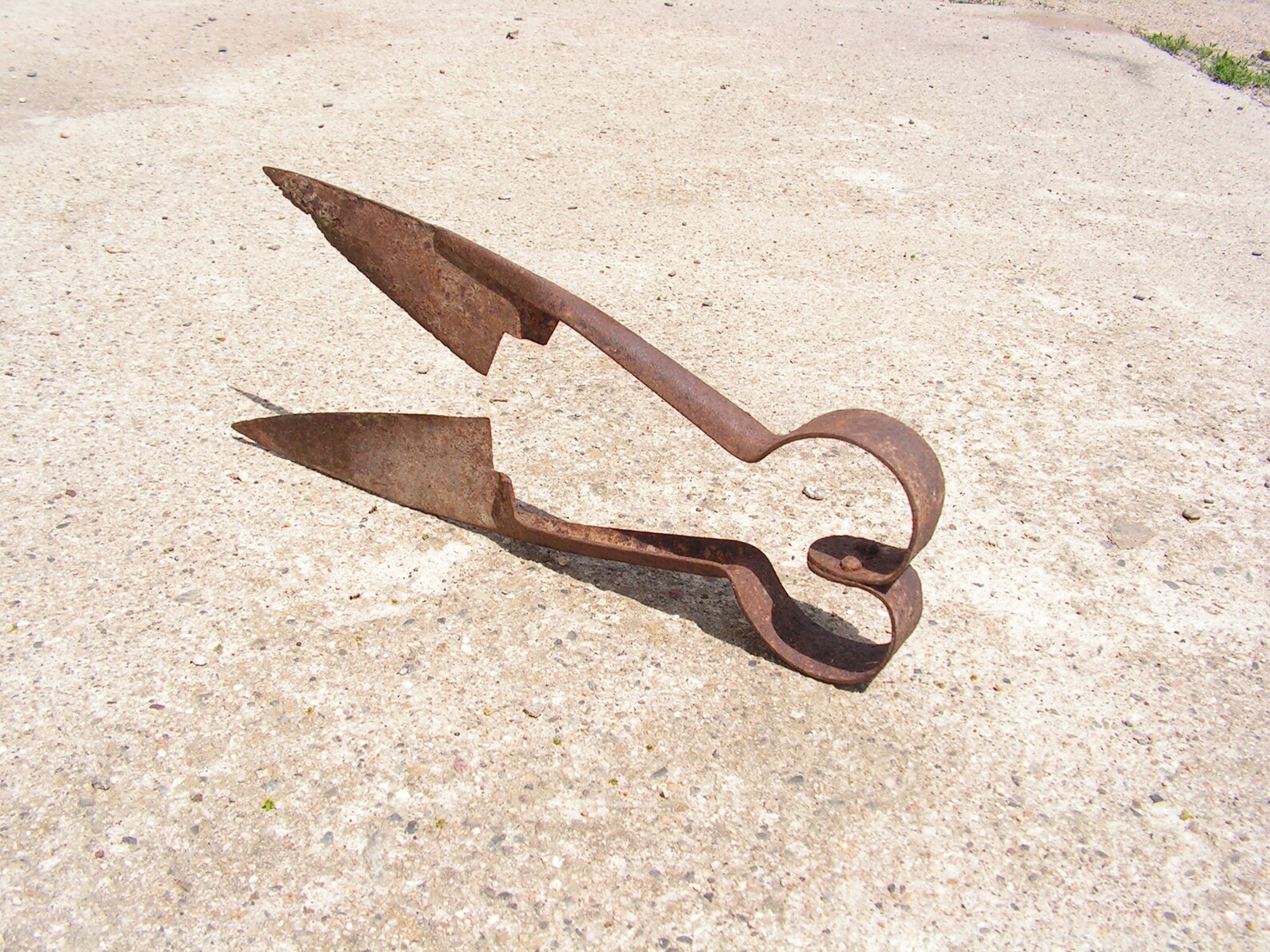 Antique Sheep Shear Primitive Sheep Shear Hand-forged Iron - Etsy