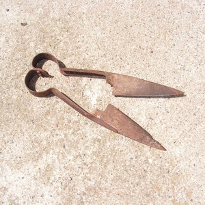 Antique Sheep Shear Primitive Sheep Shear Hand-forged Iron Scissors Old ...