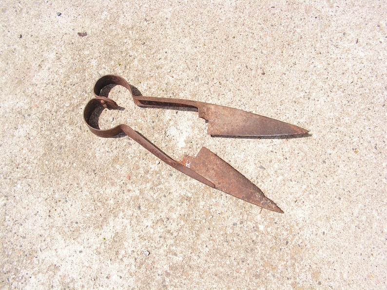 Antique Sheep Shear Primitive Sheep Shear Hand-forged Iron | Etsy