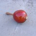 Vintage Maracas, Hand-made Maracas With Wooden Handle, Percussion ...
