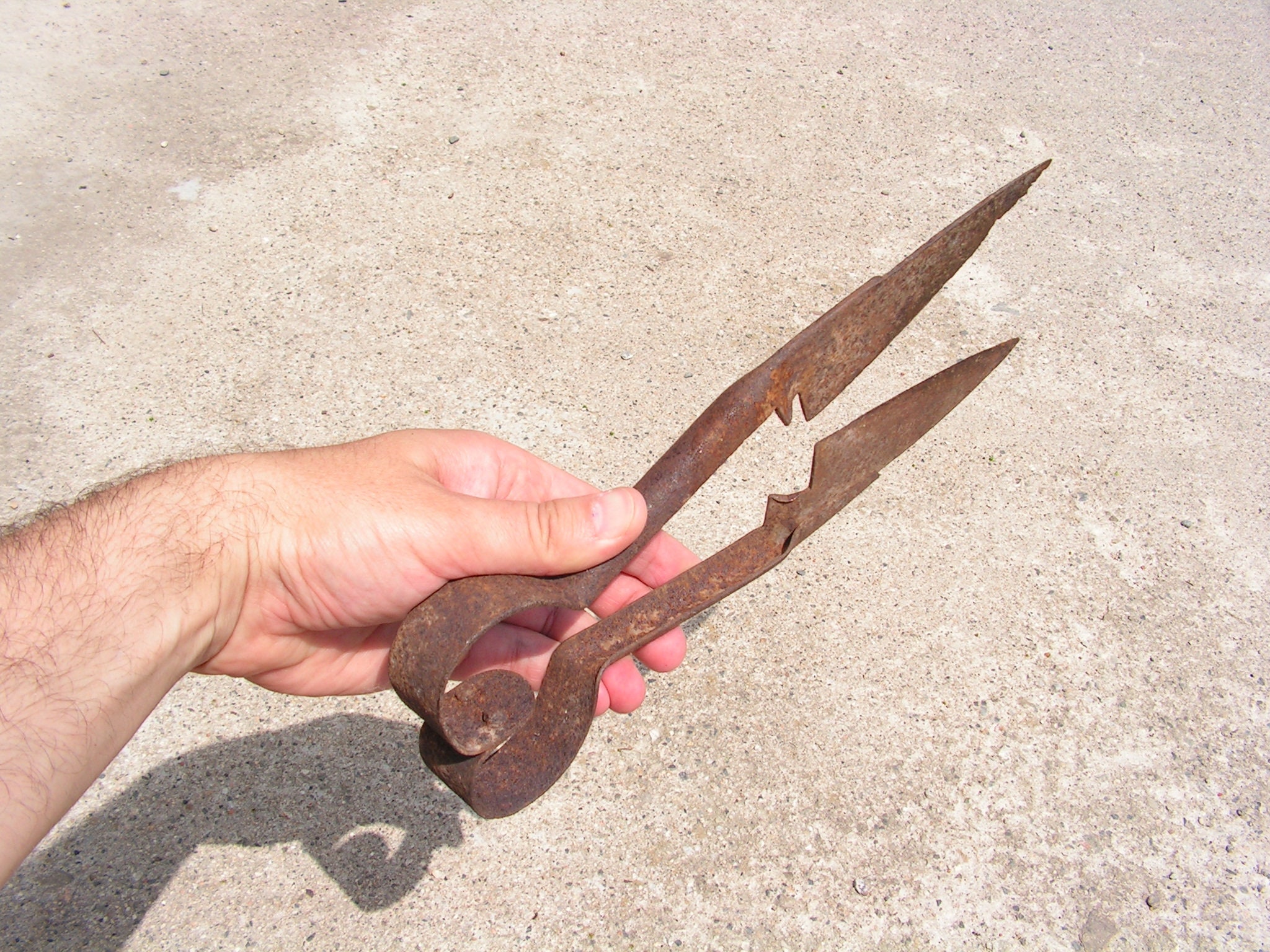 Antique Sheep Shear Primitive Sheep Shear Hand-forged Iron - Etsy