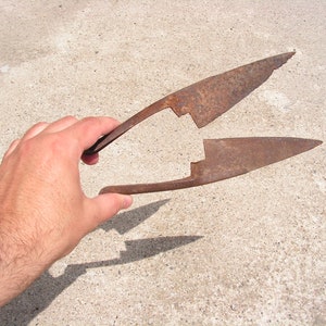 Antique Sheep Shear Primitive Sheep Shear Hand-forged Iron Scissors Old ...
