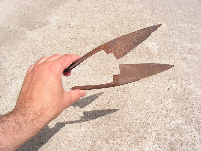 Antique Sheep Shear Primitive Sheep Shear Hand-forged Iron | Etsy