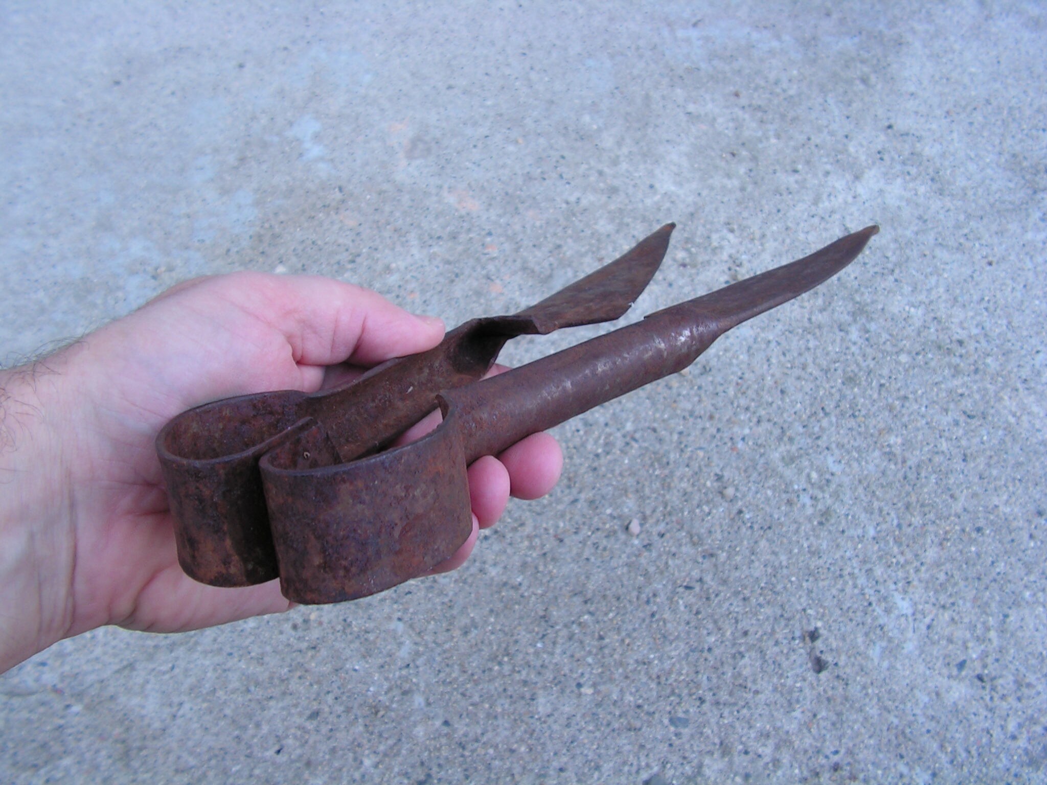 Antique Sheep Shear Primitive Sheep Shear Large Rust Scissors | Etsy
