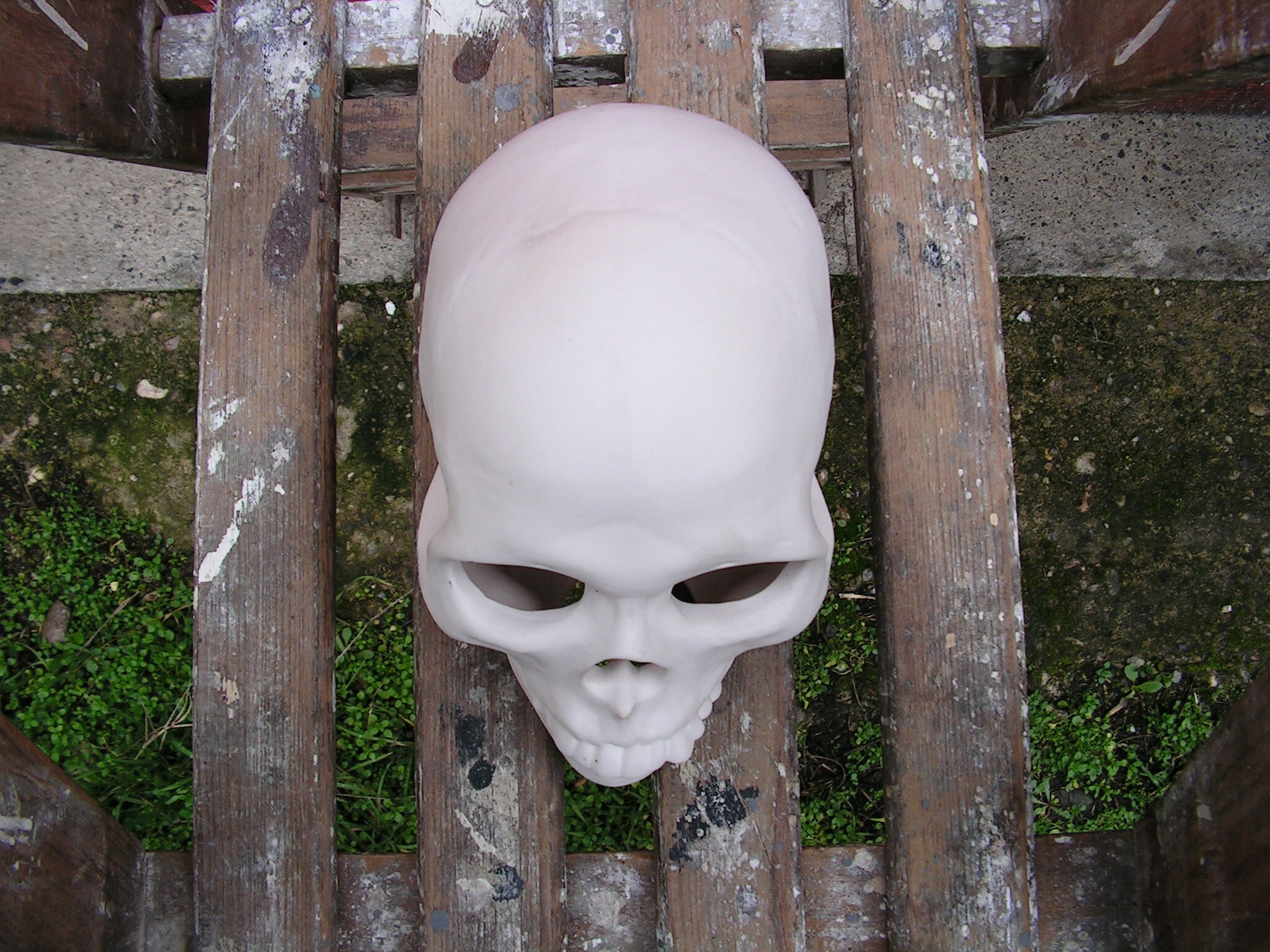 Human Gypsum Skull Ceramics Skull Head Man Plaster Skull | Etsy