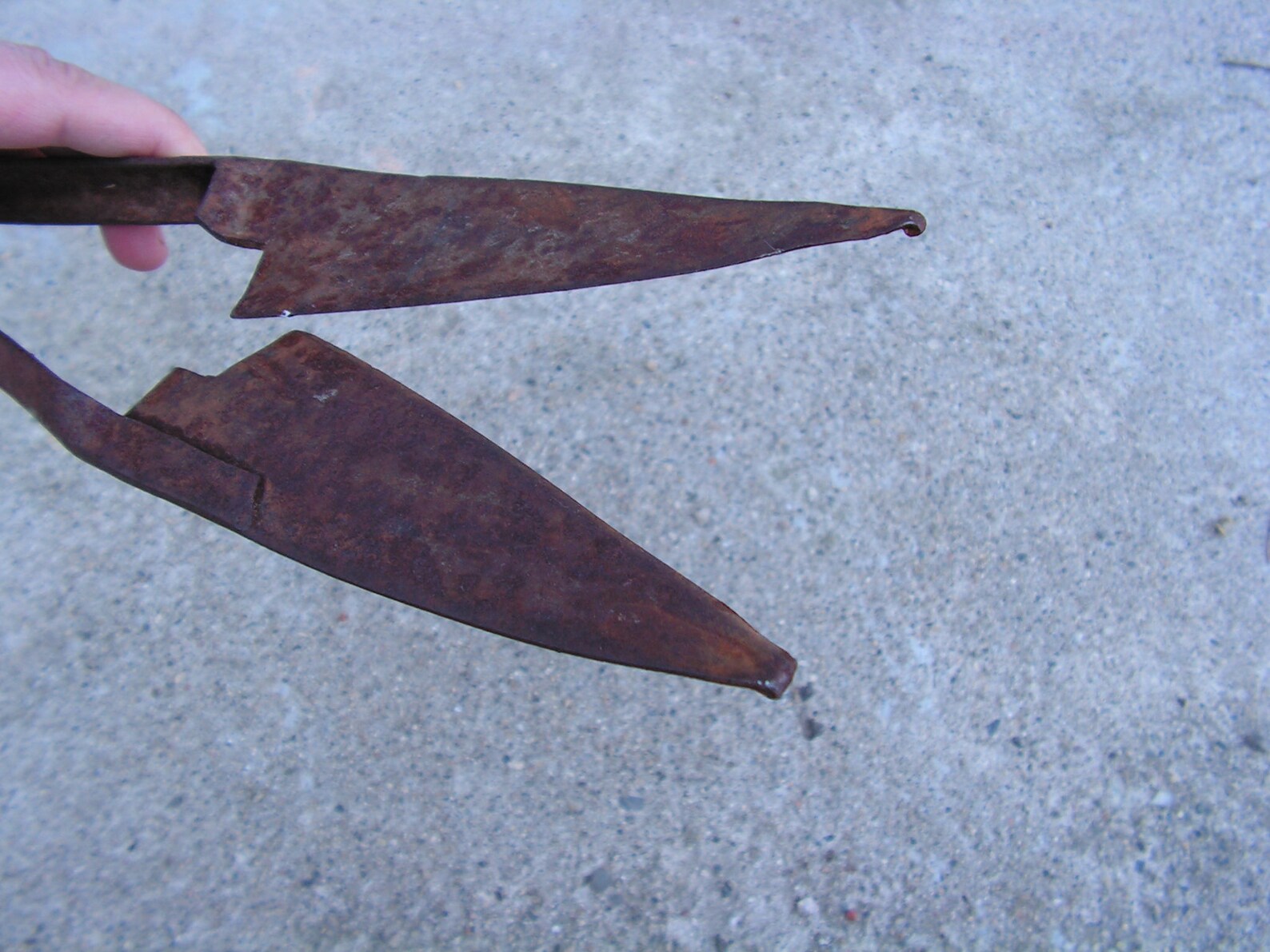 Antique Sheep Shear Primitive Sheep Shear Large Rust Scissors - Etsy