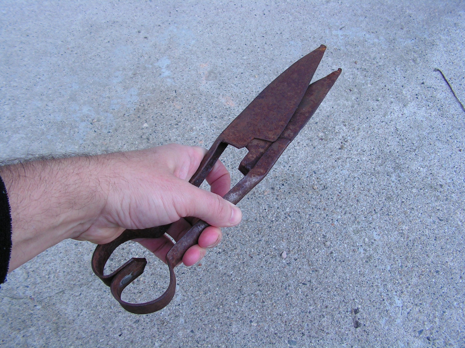 Antique Sheep Shear Primitive Sheep Shear Large Rust Scissors | Etsy