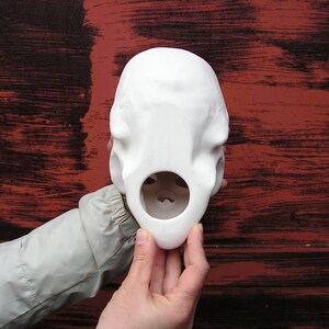 Human Gypsum Skull, Ceramics Skull, Head Man, Plaster Skull, Bone Skull ...