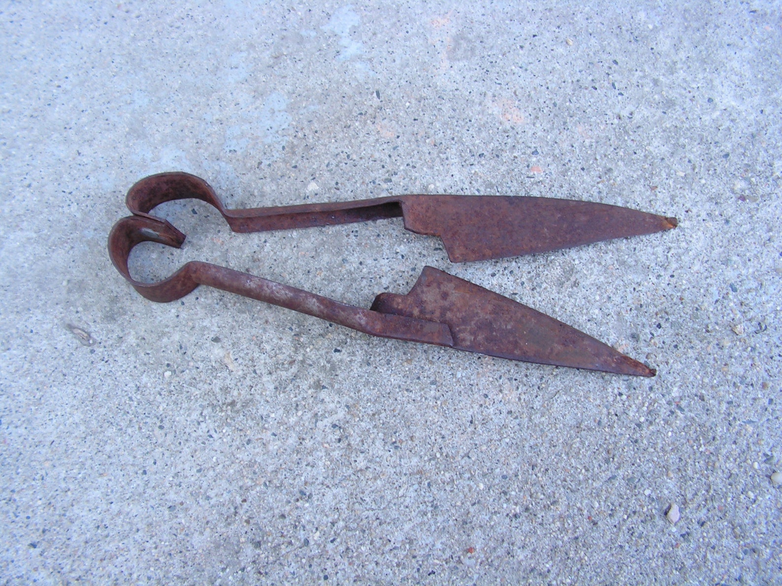 Antique Sheep Shear Primitive Sheep Shear Large Rust Scissors | Etsy