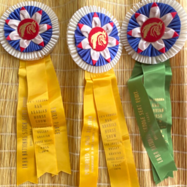 Horse Show Ribbons - Etsy