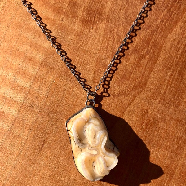 Horse Tooth - Etsy