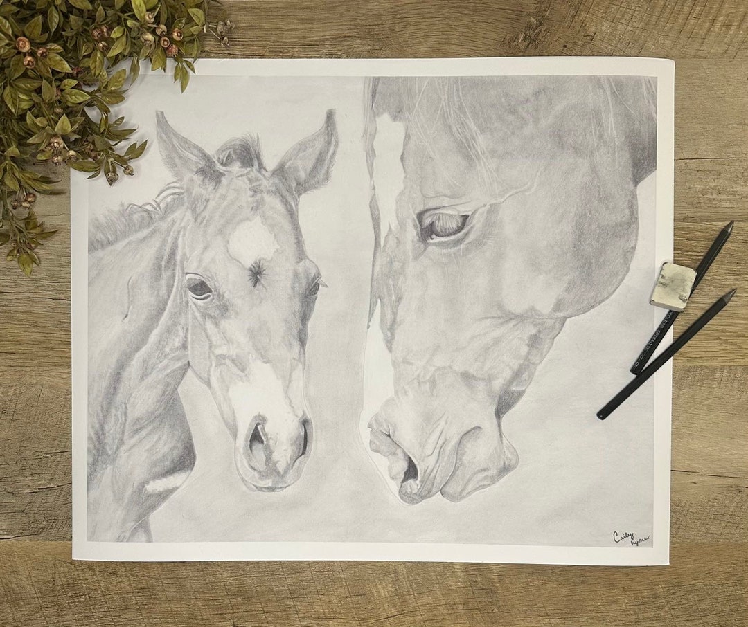 Graphite Horse Drawing, Horse Drawing Giclée Print, Equine Drawing ...