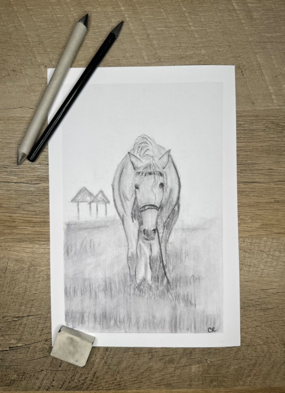 Graphite Horse Drawing, Horse Drawing Giclée Print, Equine Drawing ...