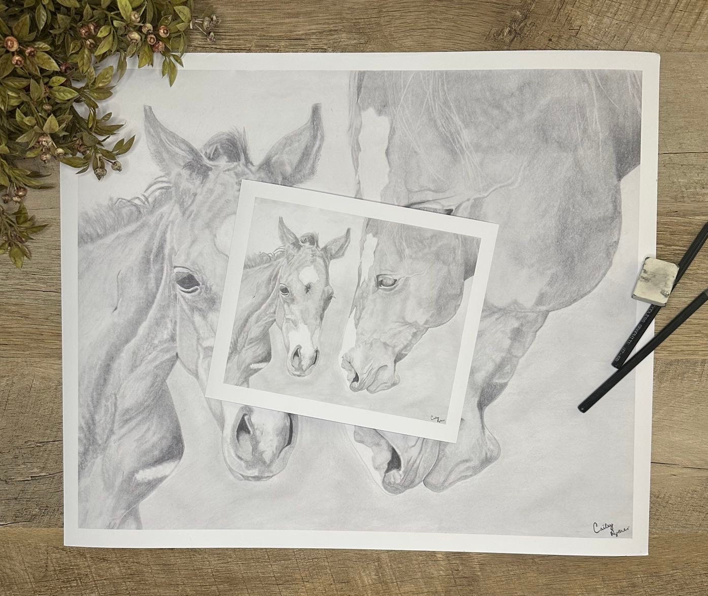 Graphite Horse Drawing, Horse Drawing Giclée Print, Equine Drawing ...