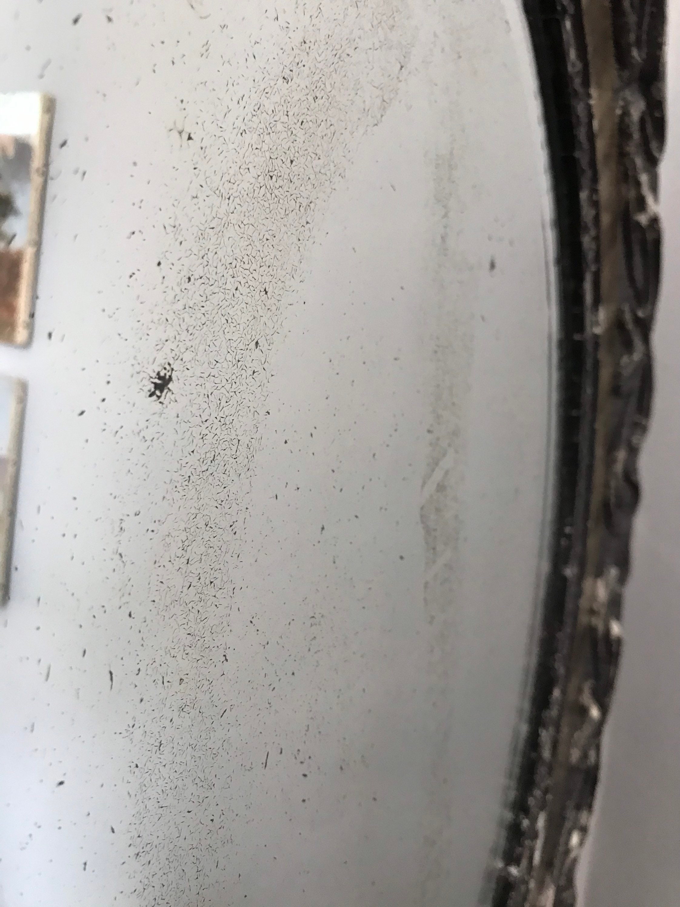 Vintage Shabby Bevelled Mirror With Foxing to the Glass. | Etsy