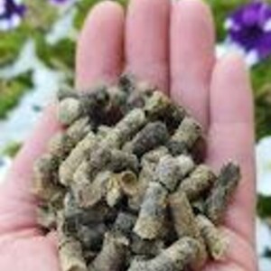 Wool Pellet Fertilizer From Regenerative Pastured Sheep - Etsy