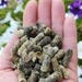 Wool Pellet Fertilizer From Regenerative Pastured Sheep - Etsy