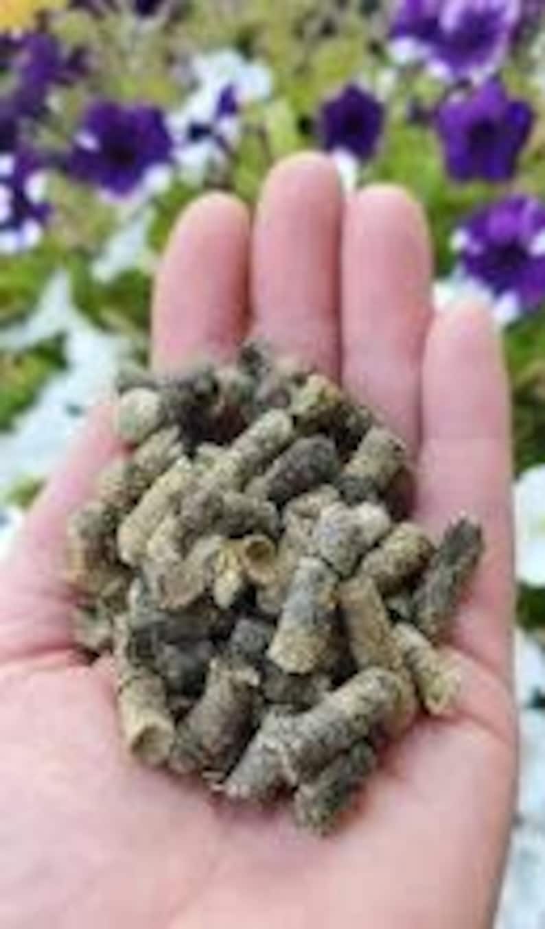 Wool Pellet Fertilizer From Regenerative Pastured Sheep - Etsy