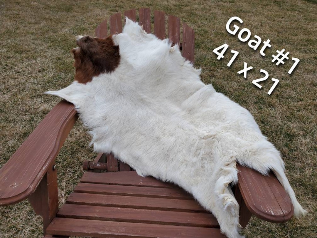 Handtanned Natural Hair-on Goat Skin From Ethically Raised Herd ...