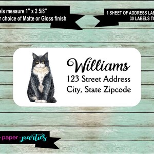 Cat Kitten Cats Pets Animals Return Address Labels | Etsy