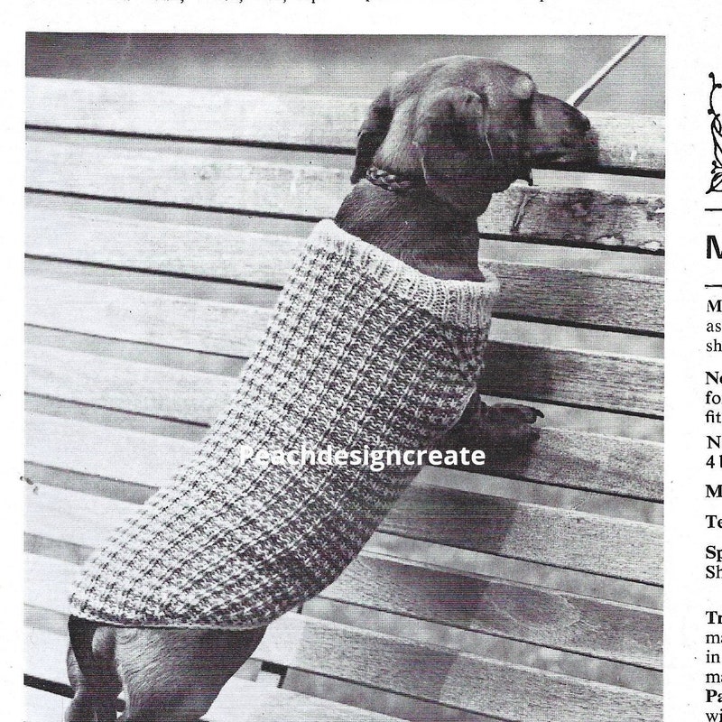 Dachshund Jacket - Etsy