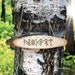 Powerful Viking Home Protection Amulet - Combined Runes for Family ...