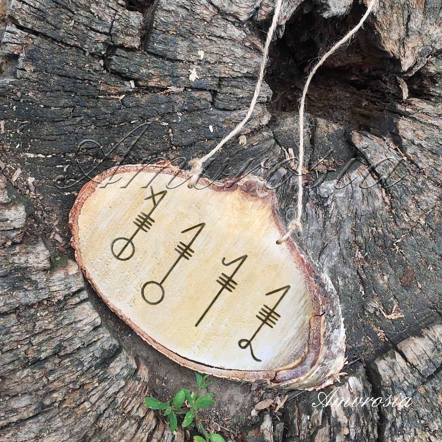 Norse Home Protection Amulet - Sleep Thorn Wood Sign - Viking Runes ...
