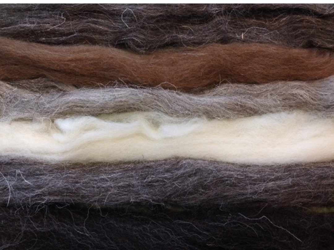 Natural Sheep Wool Rovings - Mixed Pack of Heritage Breeds in Browns ...
