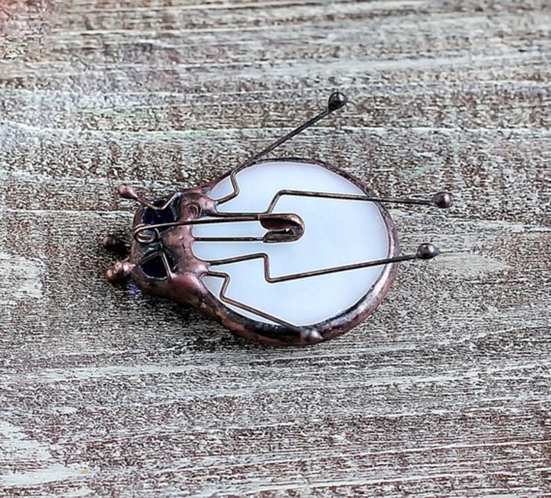 Stained glass insect bug Brooch Pin Entomology science | Etsy
